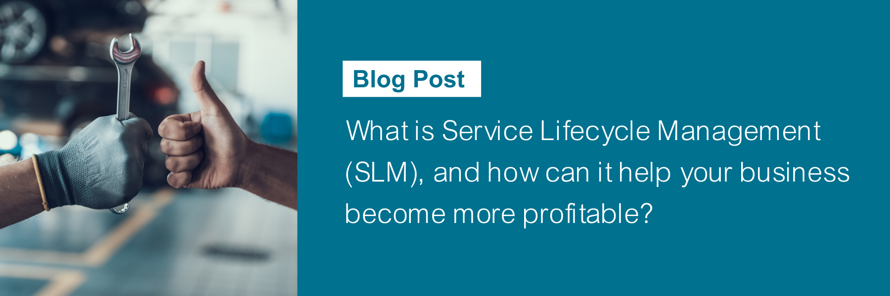 What is SLM, how can it help businesses be more profitable?